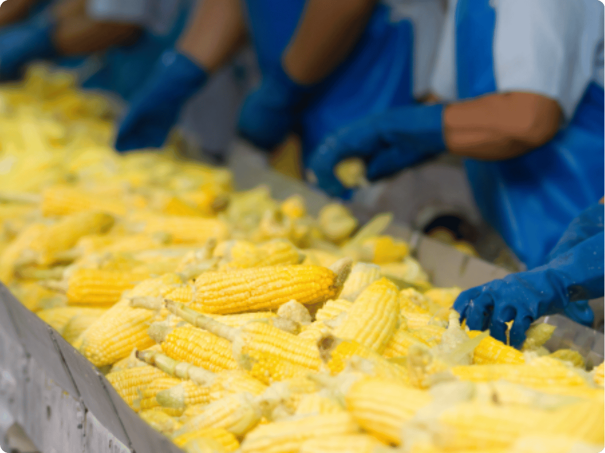 Food & Beverage Electric Reefer Containers | Portabull Cold Storage